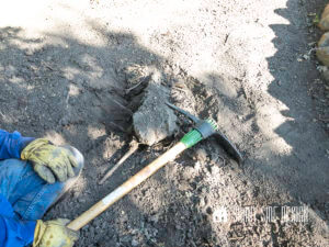 Easy DIY Outdoor Stone Steps for Your Yard You'll Love | Sunny Side Design