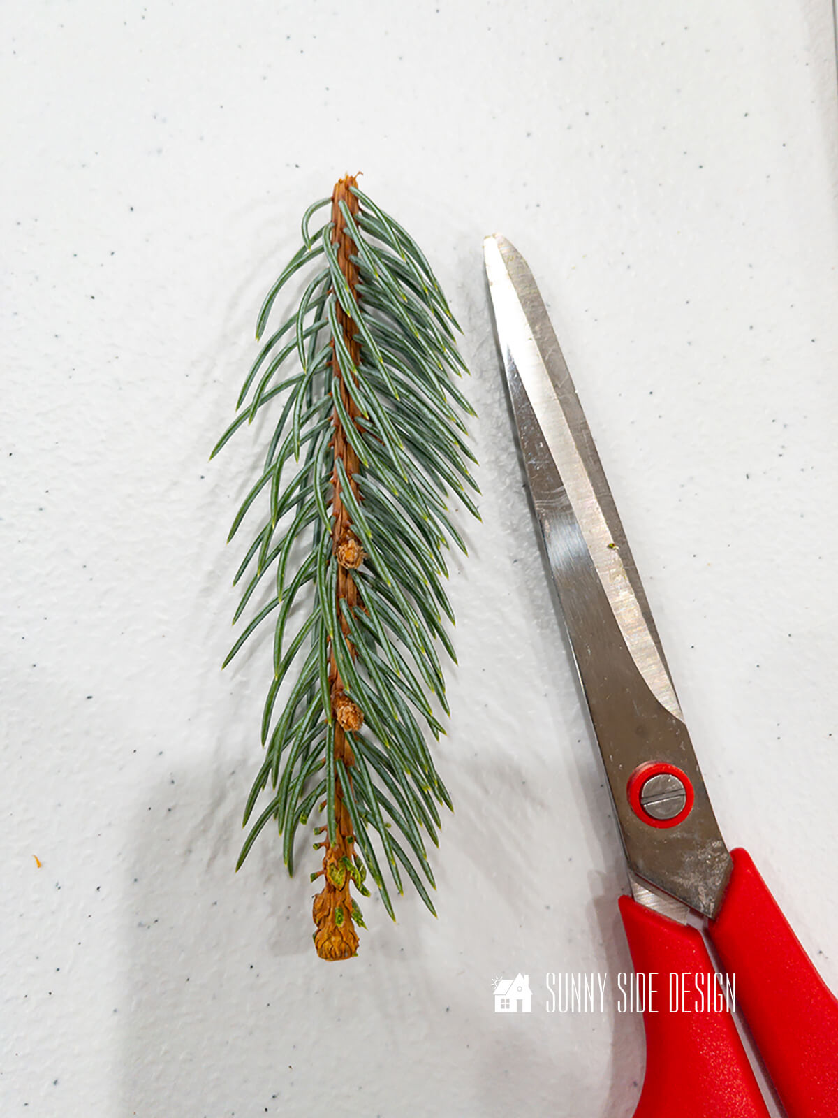 21 Beautiful and Creative Christmas Gift Wrap Ideas | Sunnyside Home